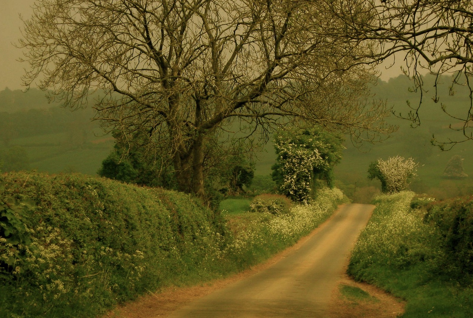 Simple View, Utter Beauty – Splendid Isolation