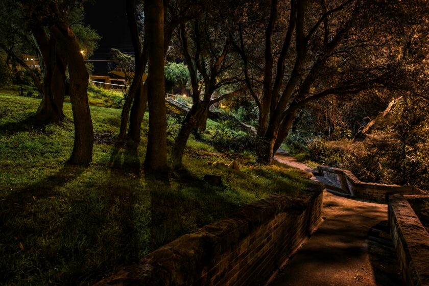 Dark Art – Splendid Isolation