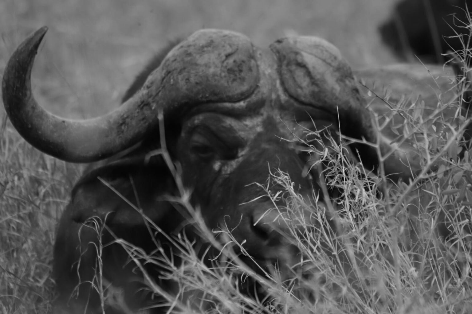 Splendid Isolation – Page 5